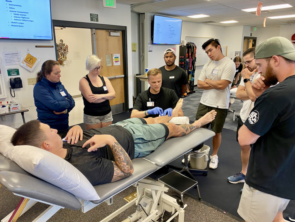 Physiotherapy: Functional Dry Needling, the Solution For Your Pain